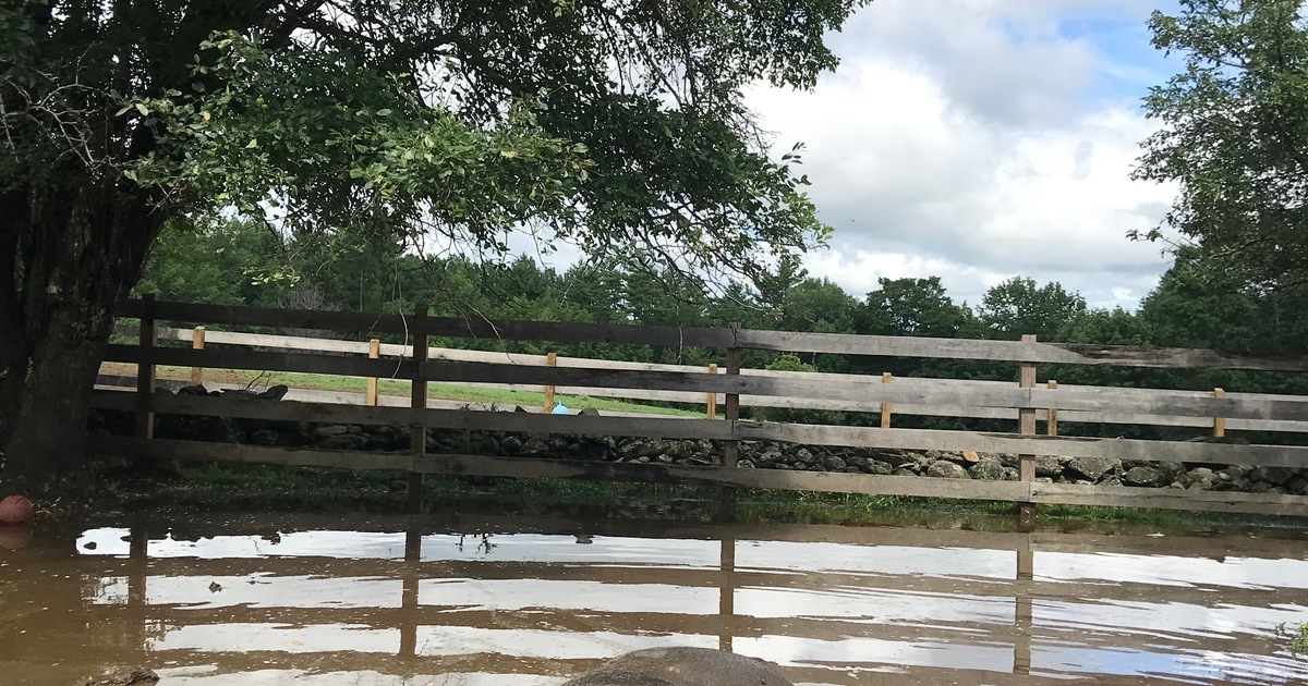 Tomten Farm and Sanctuary of New Hampshire - 2019 Year of the Pig. May ...