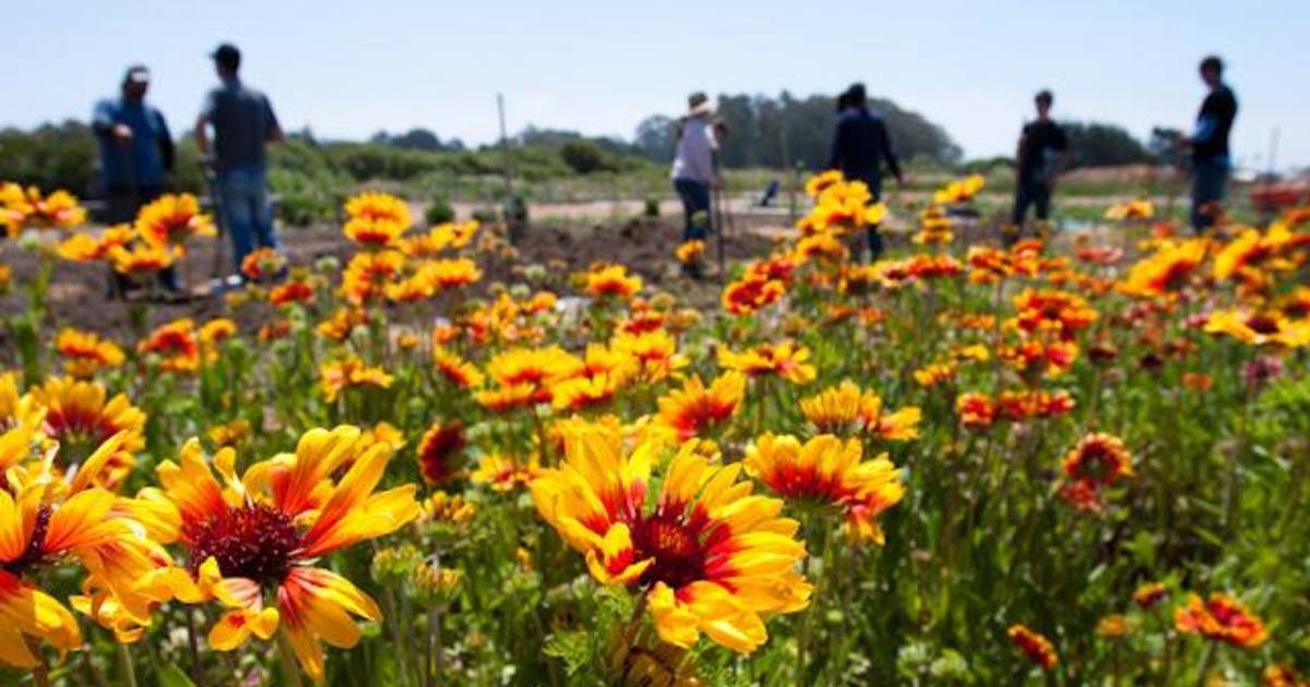 HOMELESS GARDEN PROJECT - Two Steps Closer to Home