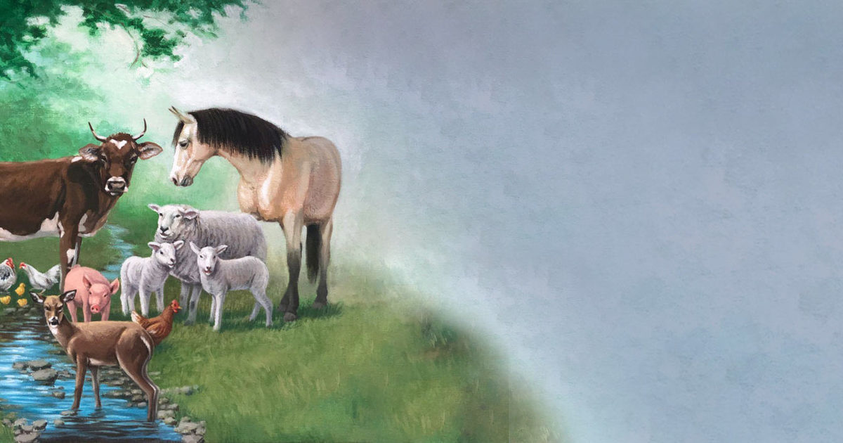 Common Sense for Animals - A New Jersey Non-Profit Corporation - CSA ...