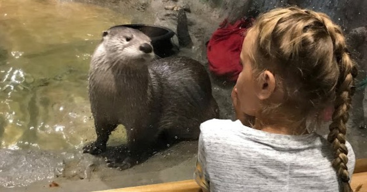 Delmarva Discovery Center & Museum Inc - Delmarva Discovery Museum ...