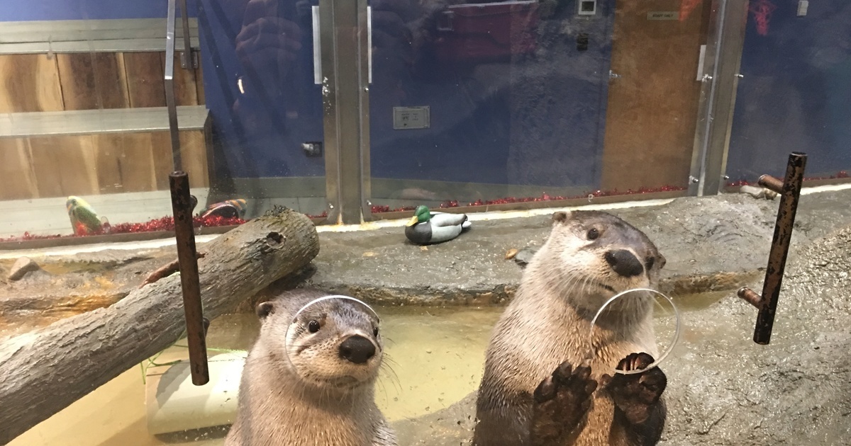 Delmarva Discovery Center & Museum Inc - 2023 Annual Appeal