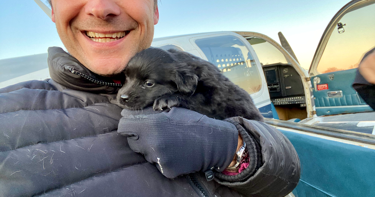 FLYING FUR ANIMAL RESCUE - Giving Tuesday