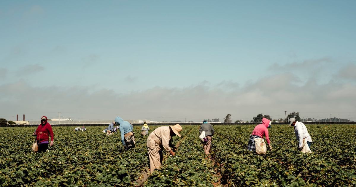 Food Empowerment Project - Getting Essentials to Essential Workers