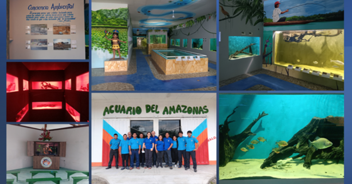 Amazon Research Center Inc - Save the Amazon It's More Than Just A River