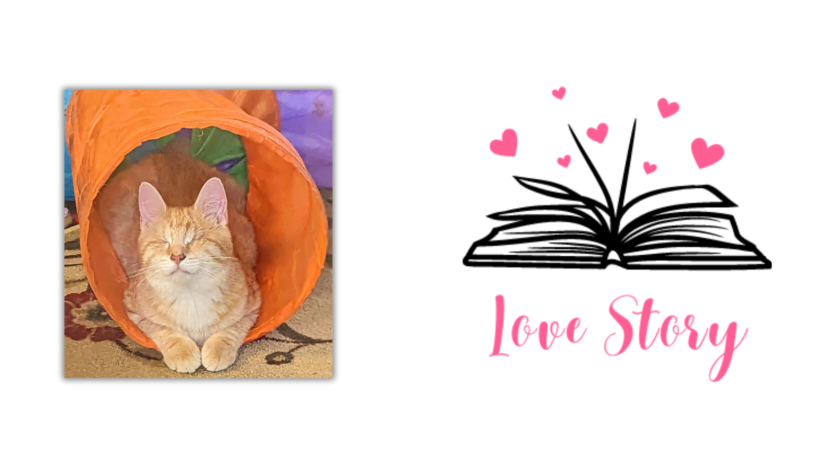 Humane Society Of Washington County Incorporated Love Story 2023 humane-society-of-washington-county-incorporated-love-story-2023
