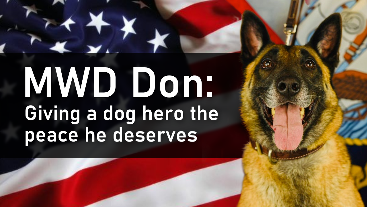 PAWS OF WAR INC - MWD Don's Retirement