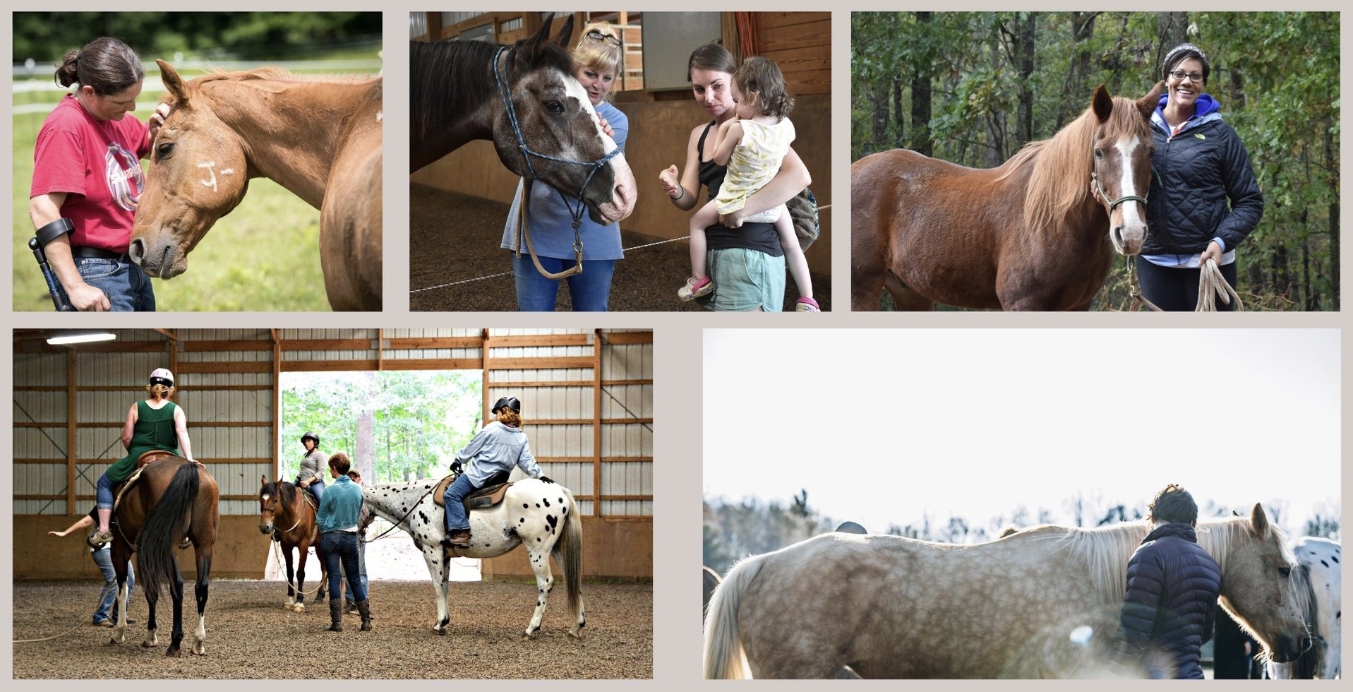 Heart of Horse Sense Inc - Resilient Hearts: Horses Healing Trauma