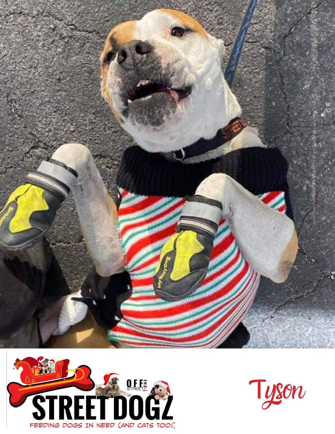 Street Dogz - Off The Streetz Christmas 2021