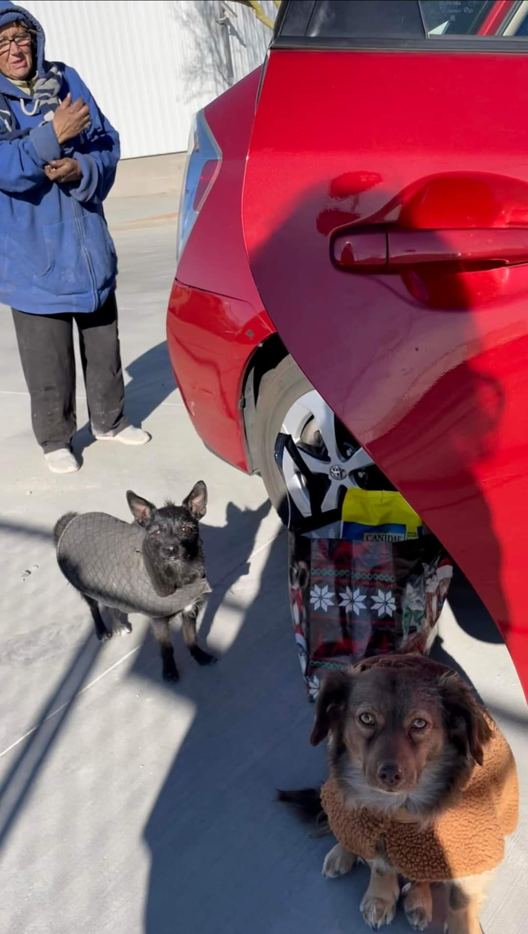 Street Dogz - Off The Streetz Christmas 2021