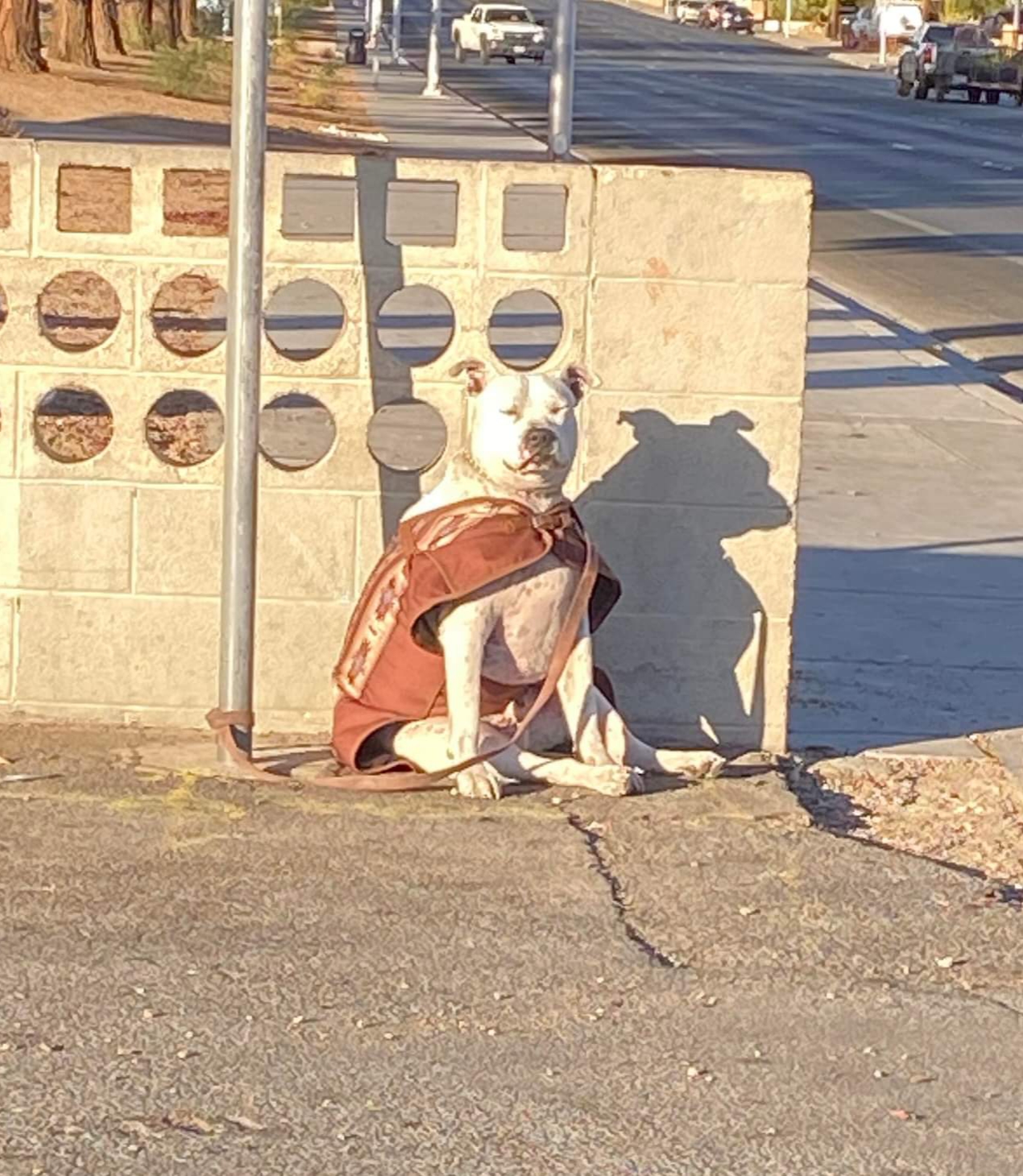 Street Dogz - Off The Streetz Christmas 2021