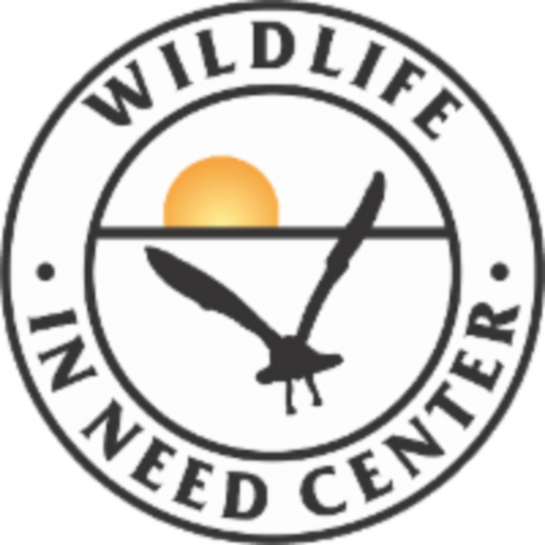 Wildlife in Need Center - $5 Friday! Today is the day! June 30th!