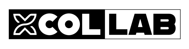 CAUSE EFFECTIVE - COLLAB (Community of Liberation LAB)