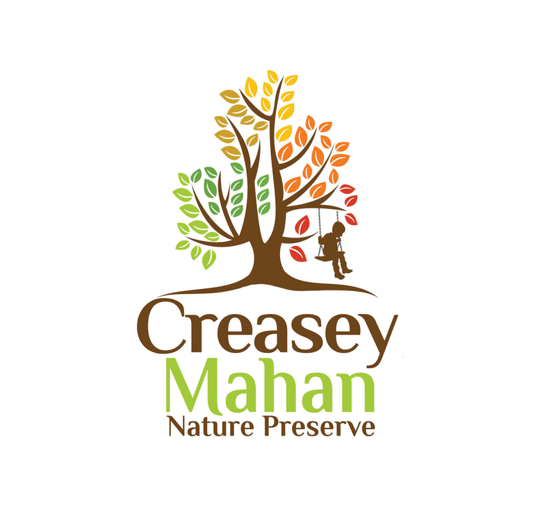 Creasey Mahan Nature Preserve Inc - Fabulous Fern Tour with Dr. John ...
